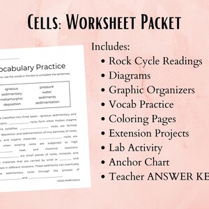 The Rock Cycle Science Worksheet Packet for Middle School Science Class ...