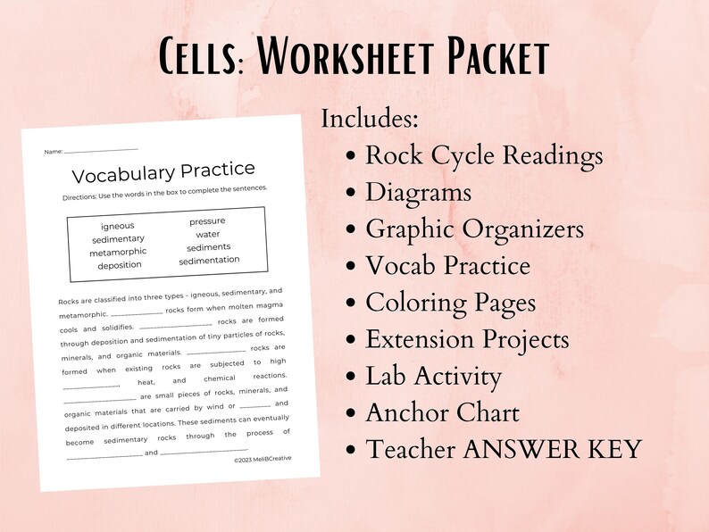 The Rock Cycle Science Worksheet Packet for Middle School Science Class ...