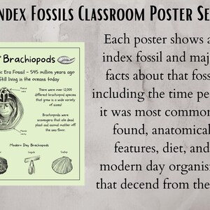 Index Fossil Classroom Poster Set, Science Classroom Décor, Science ...