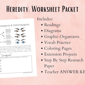 Heredity & Genetics Life Science Worksheet Packet for Middle School ...