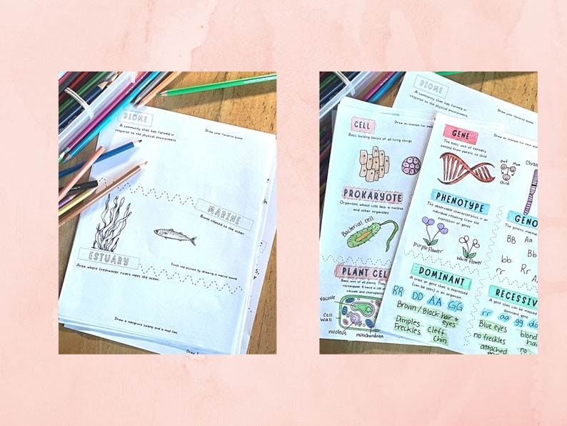 Life Science Vocabulary STEAM Worksheets, Middle School Science ...