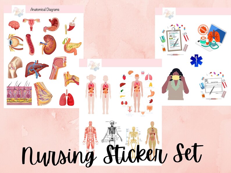 Nursing Sticker Bundle. Digital Sticker Sheet for Science, Biology ...
