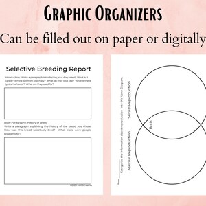 Heredity & Genetics Life Science Worksheet Packet for Middle School ...