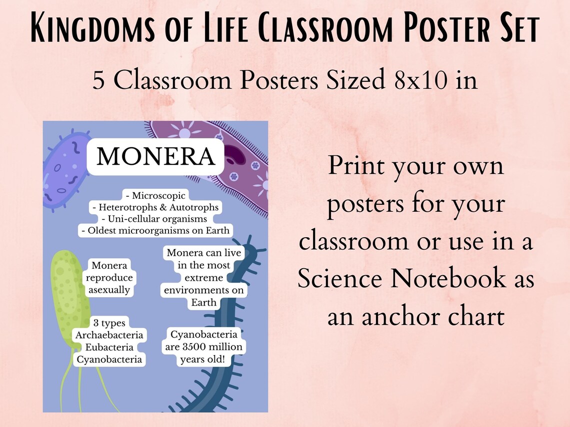 Kingdom of Life Science Classroom Poster Set Biology | Etsy