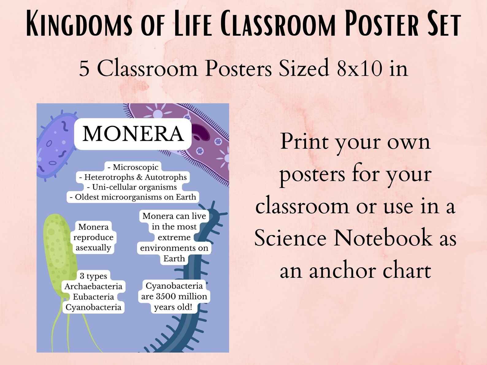 Kingdom of Life Science Classroom Poster Set Biology | Etsy