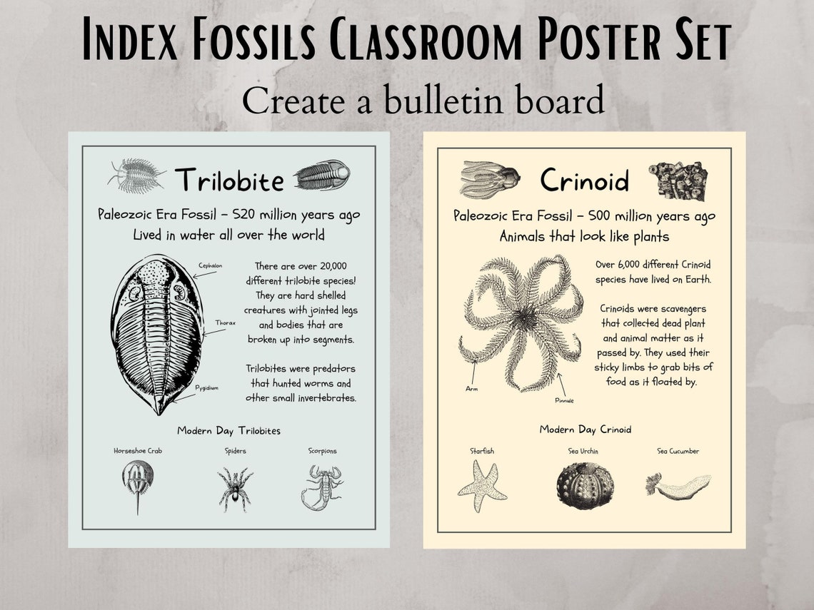 Index Fossil Classroom Poster Set, Science Classroom Décor, Science ...