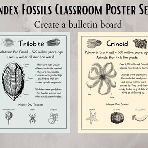 Index Fossil Classroom Poster Set, Science Classroom Décor, Science ...