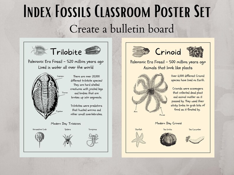 Index Fossil Classroom Poster Set, Science Classroom Décor, Science ...
