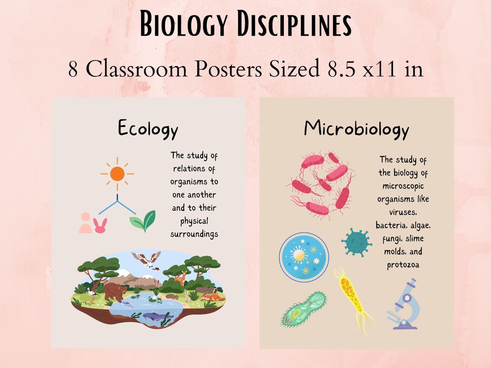 Biology Classroom Poster Set, Biology Careers, STEM, Disciplines ...