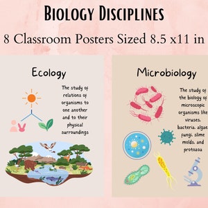 Biology Classroom Poster Set, Biology Careers, STEM, Disciplines ...