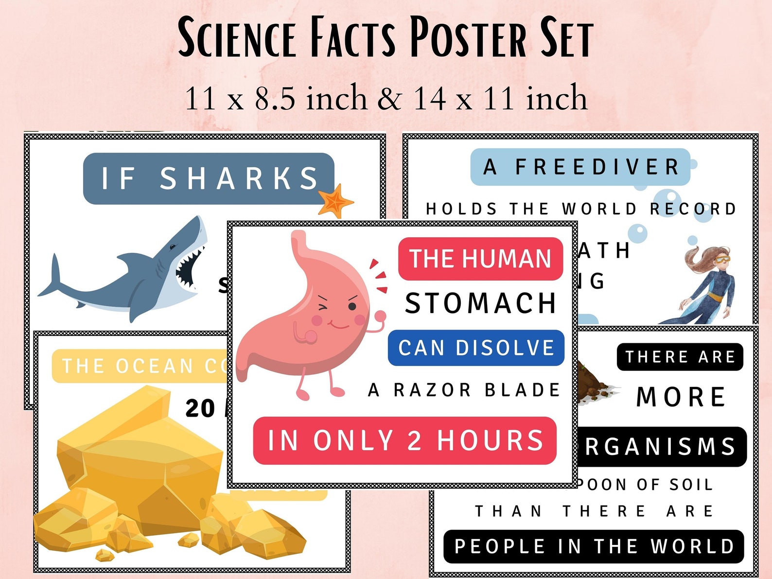 Fun Science Facts Classroom Poster Set V2, Science Classroom Décor ...
