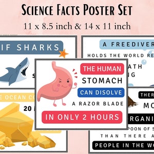 Fun Science Facts Classroom Poster Set V2, Science Classroom Décor ...
