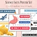 Fun Science Facts Classroom Poster Set V2, Science Classroom Décor ...