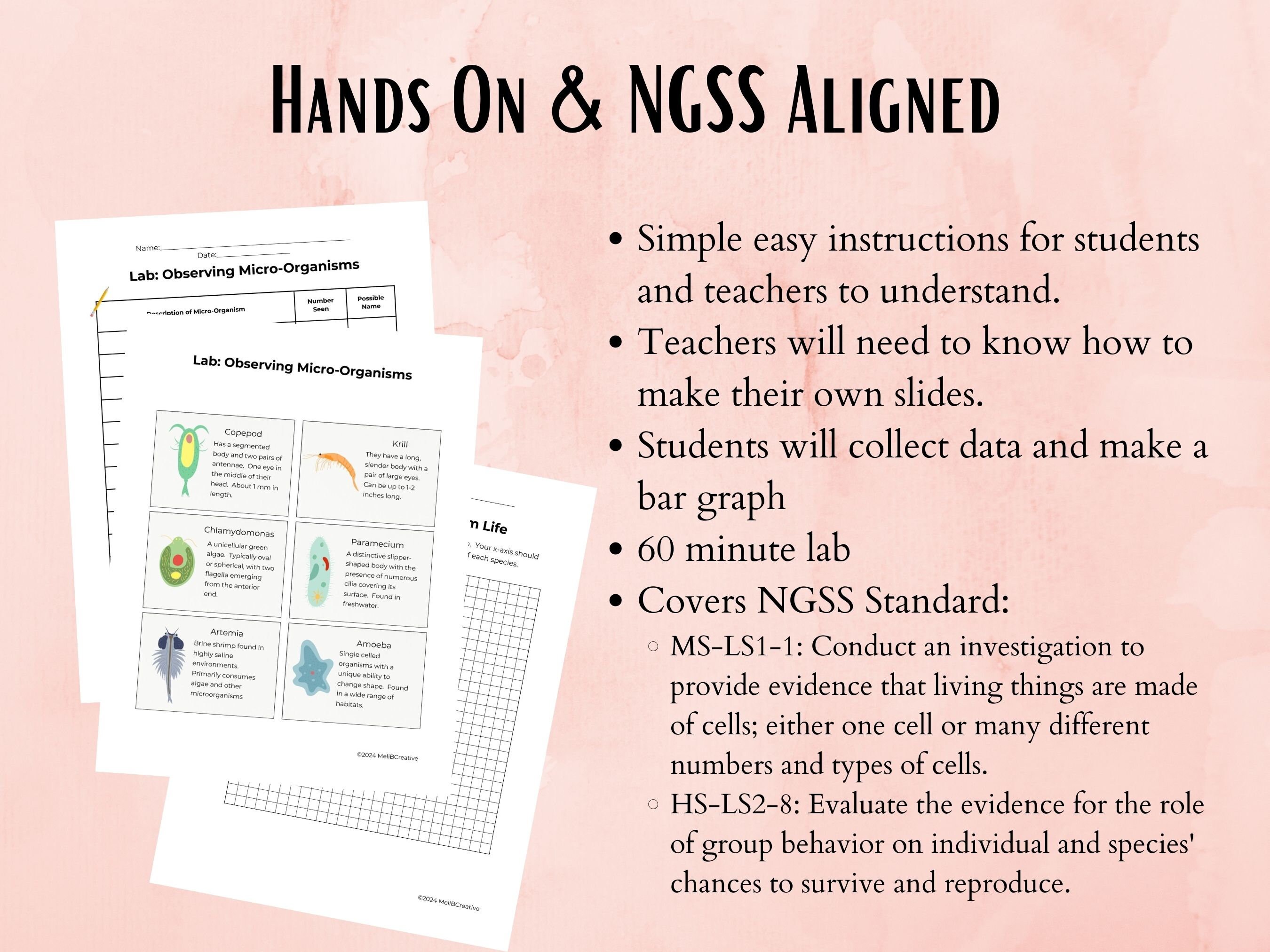 Lab: Observing Micro Organisms, High School Biology Worksheet, Lesson ...