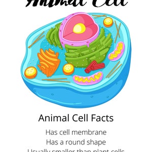 Cell Posters for Science Classroom Art, PDF and PNG Printable or ...