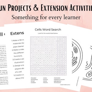 Cells Life Science Worksheet Packet for Middle School Science Class ...
