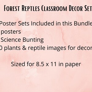 Forest Reptiles Science Classroom Decor Set, Green Classroom, Lizards ...