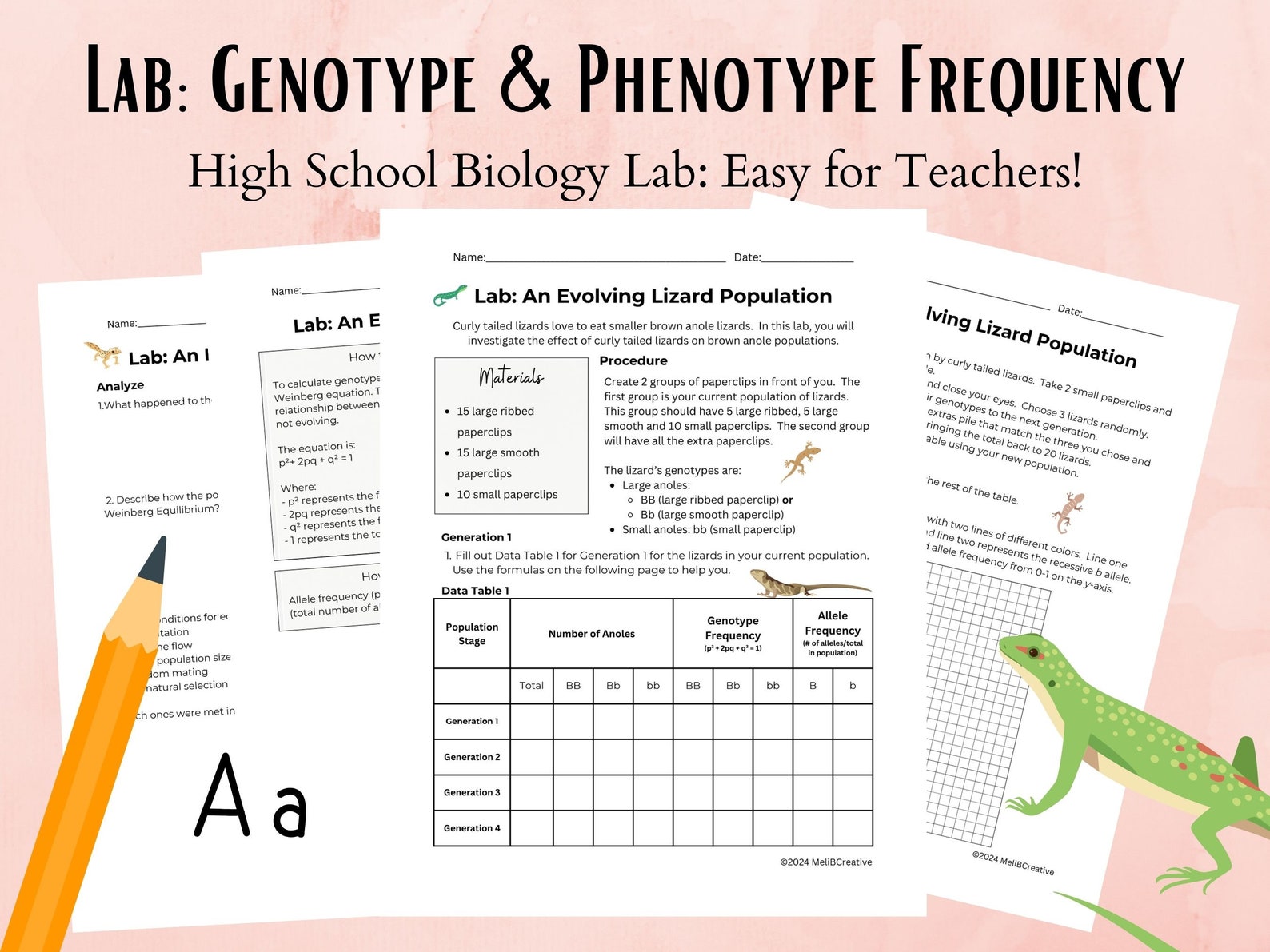 Lab: Genotype and Phenotype Frequency, High School Biology Worksheet ...