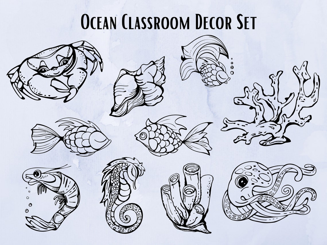 Ocean Sea Classroom Decor Set, Ocean Animals, Science Teacher, Middle ...