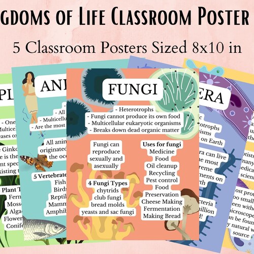 Kingdom of Life Science Classroom Poster Set Biology - Etsy