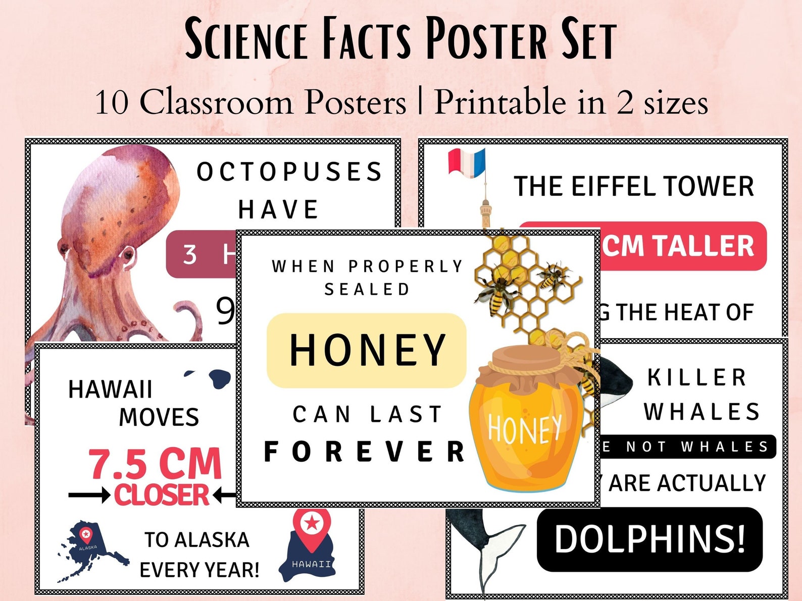 Fun Science Facts Classroom Poster Set, Science Classroom Décor, Life ...