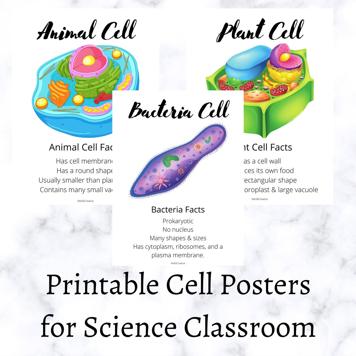 Cell Posters for Science Classroom Art PDF and PNG Printable - Etsy