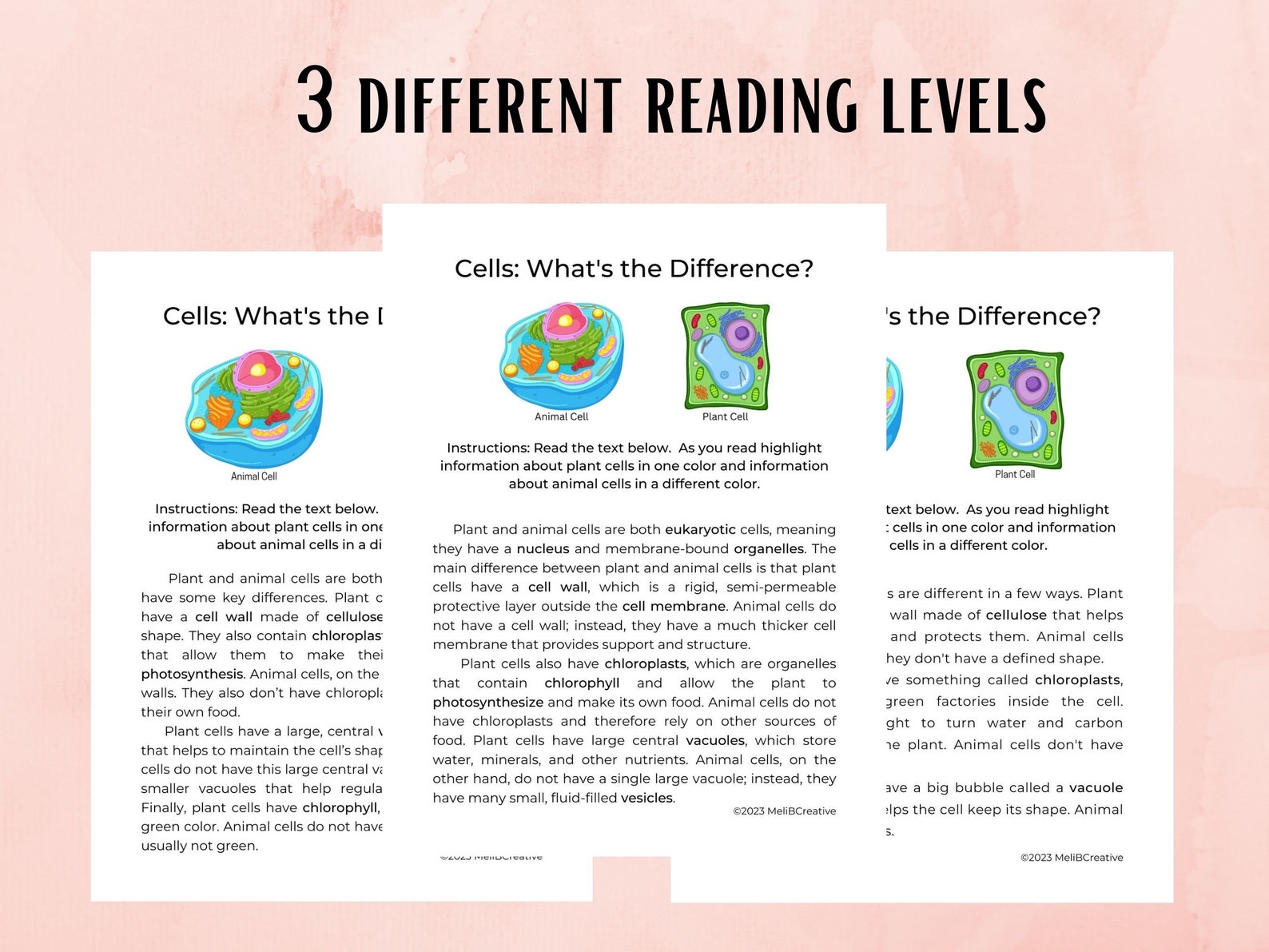 Cells Life Science Worksheet Packet for Middle School Science Class ...