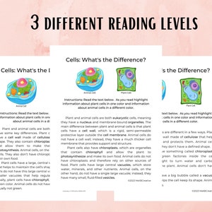 Cells Life Science Worksheet Packet for Middle School Science Class ...