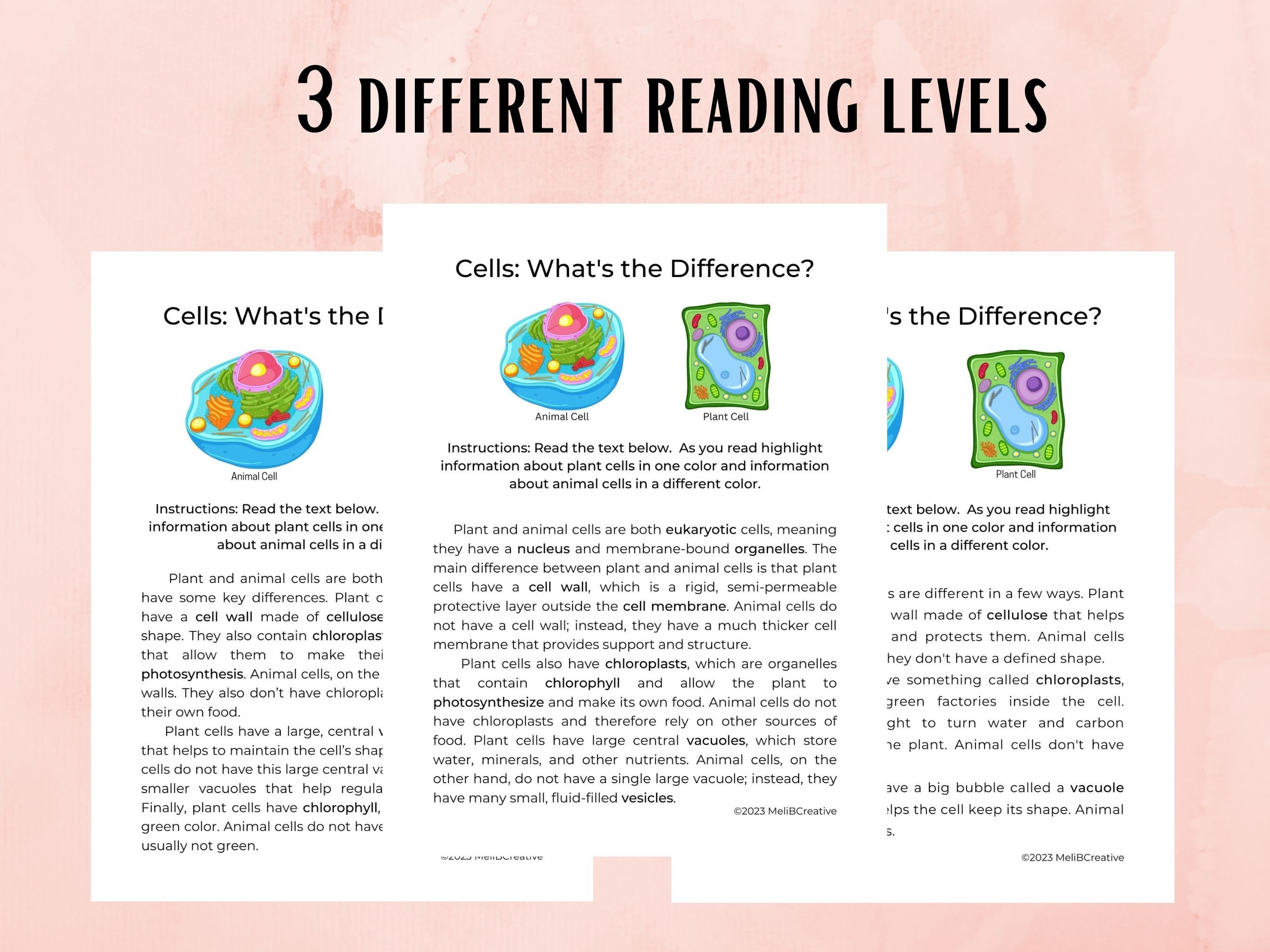 Cells Life Science Worksheet Packet for Middle School Science Class ...