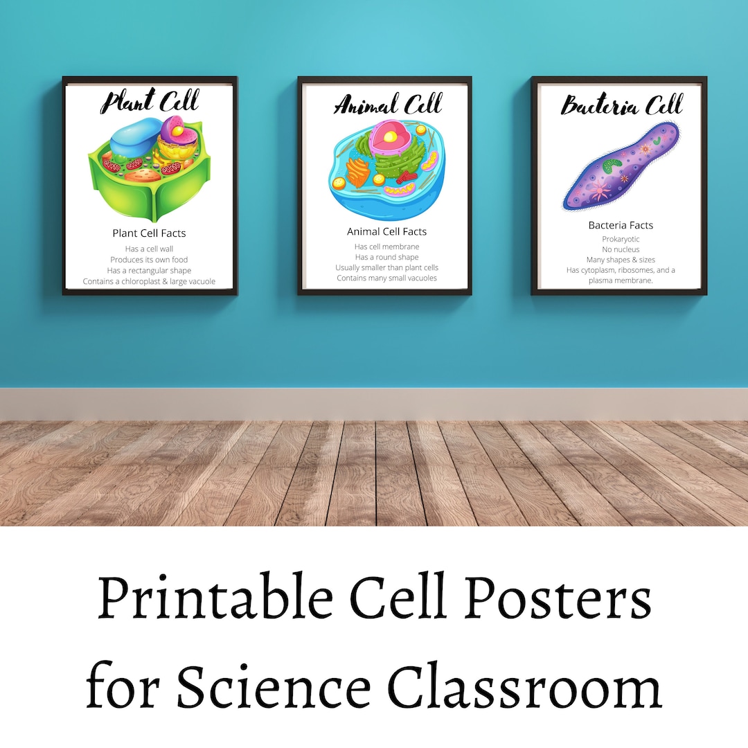 Cell Posters for Science Classroom Art, PDF and PNG Printable or ...