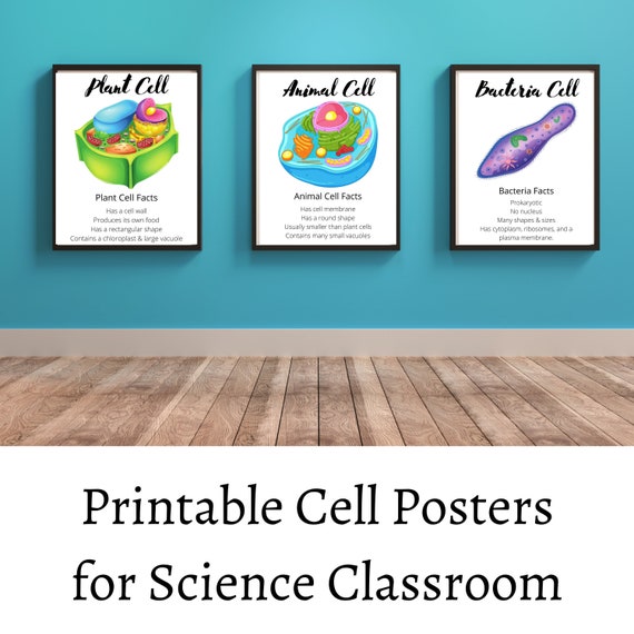 Cell Posters for Science Classroom Art PDF and PNG Printable - Etsy
