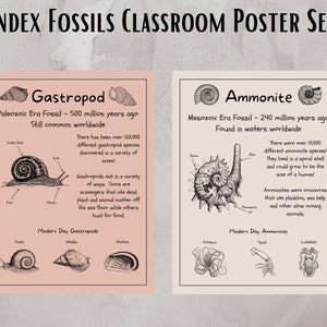 Index Fossil Classroom Poster Set, Science Classroom Décor, Science ...