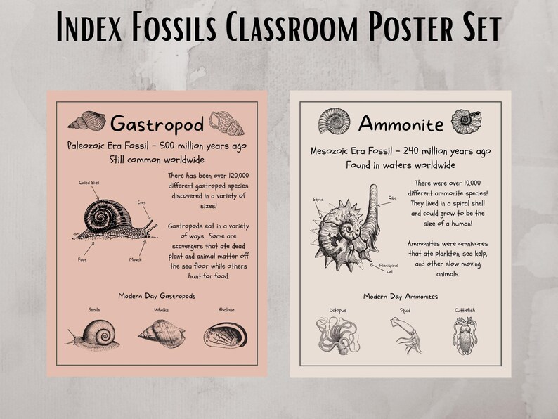 Index Fossil Classroom Poster Set, Science Classroom Décor, Science ...