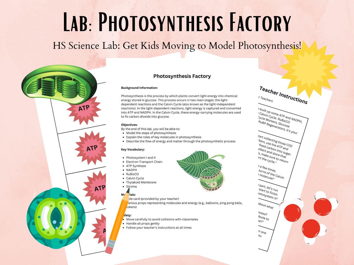 Photosynthesis Factory: Interactive Classroom Lab Kit, Biology ...