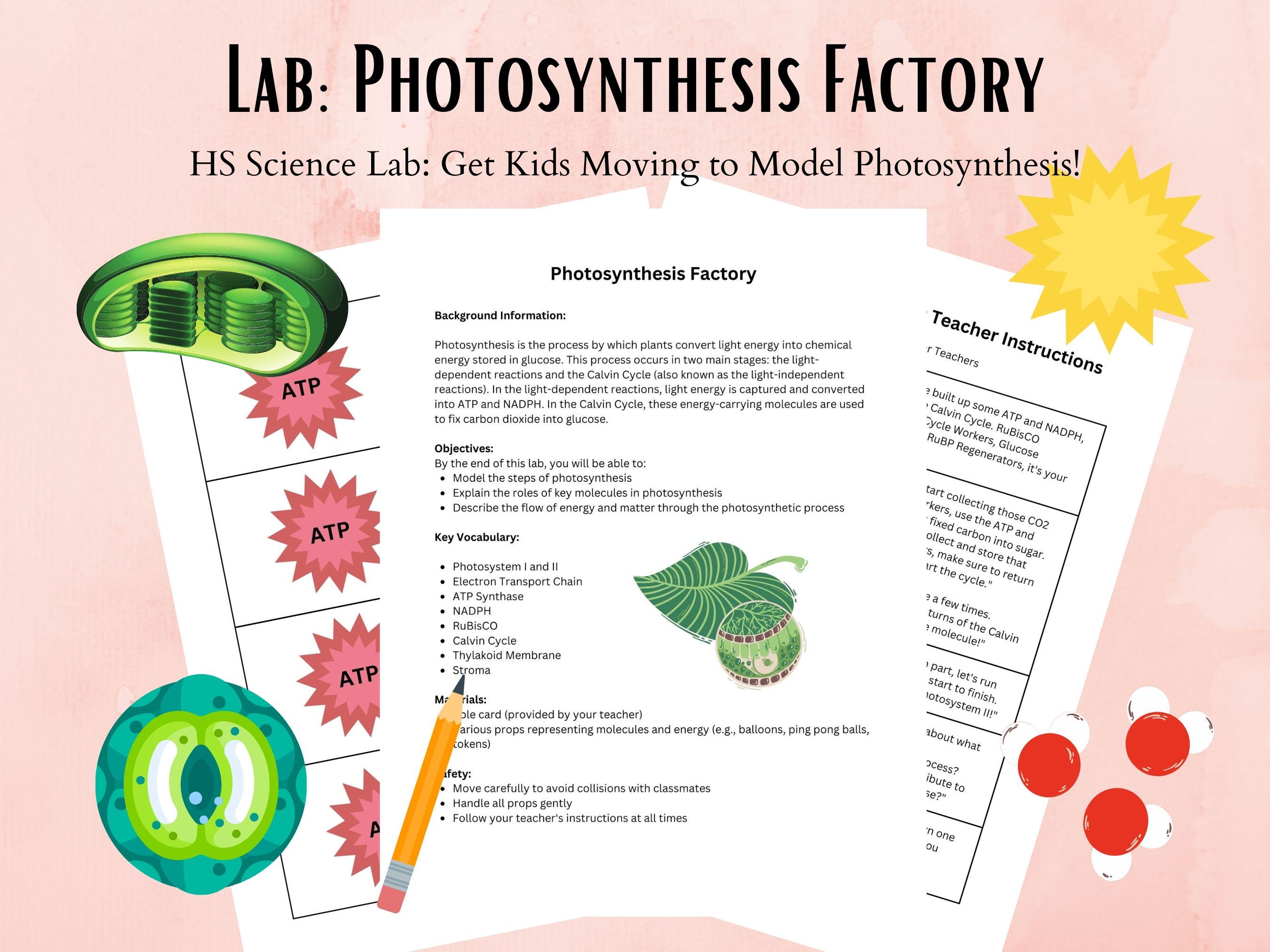 Photosynthesis Factory: Interactive Classroom Lab Kit, Biology ...