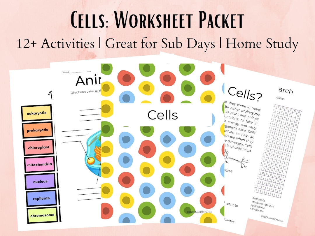 Cells Life Science Worksheet Packet for Middle School Science Class ...