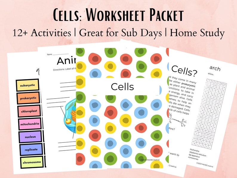 Cells Life Science Worksheet Packet for Middle School Science Class ...