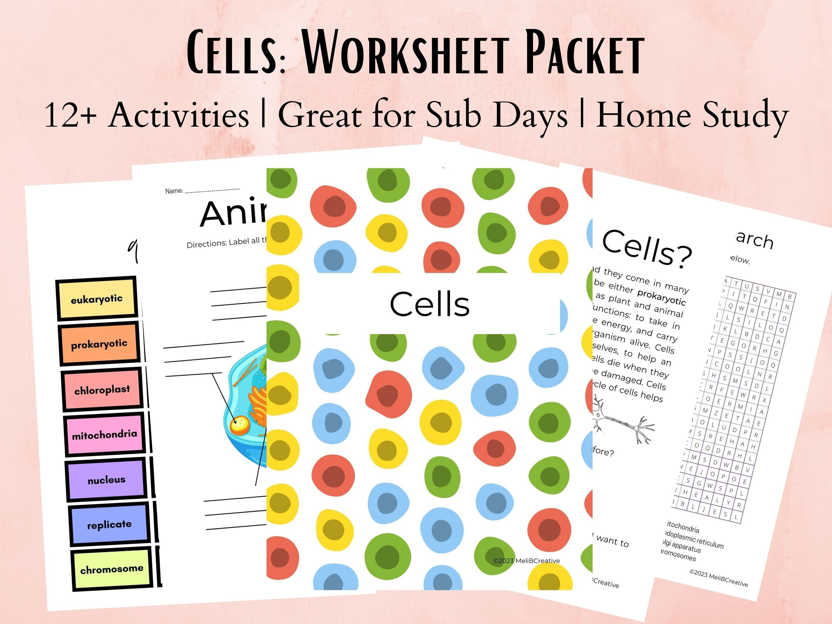 Cells Life Science Worksheet Packet for Middle School Science Class ...