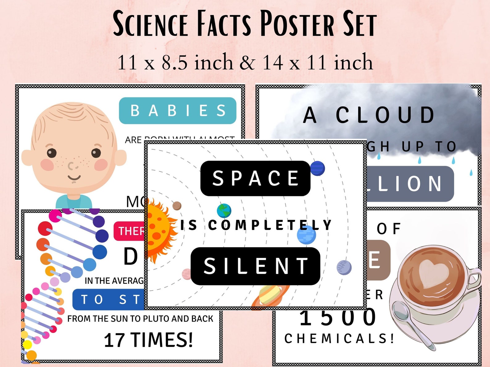 Fun Science Facts Classroom Poster Set, Science Classroom Décor, Life ...