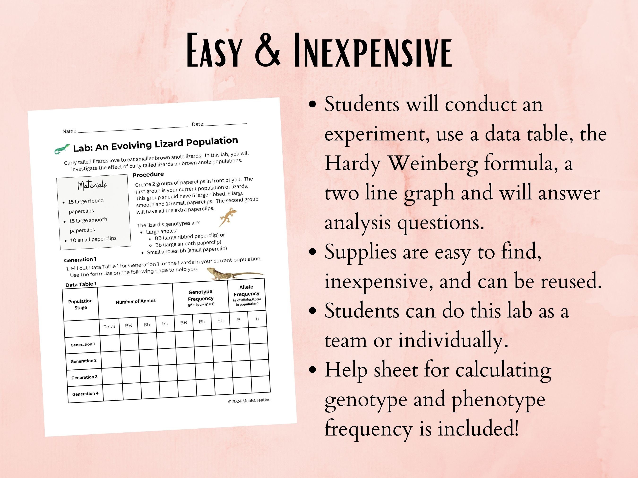 Lab: Genotype and Phenotype Frequency, High School Biology Worksheet ...