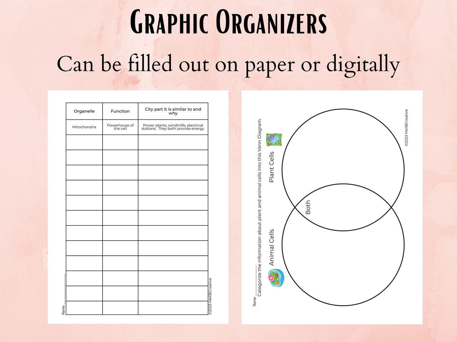Cells Life Science Worksheet Packet for Middle School Science Class ...