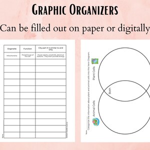Cells Life Science Worksheet Packet for Middle School Science Class ...