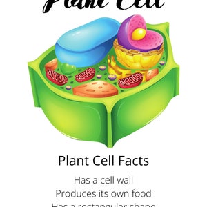 Cell Posters for Science Classroom Art, PDF and PNG Printable or ...