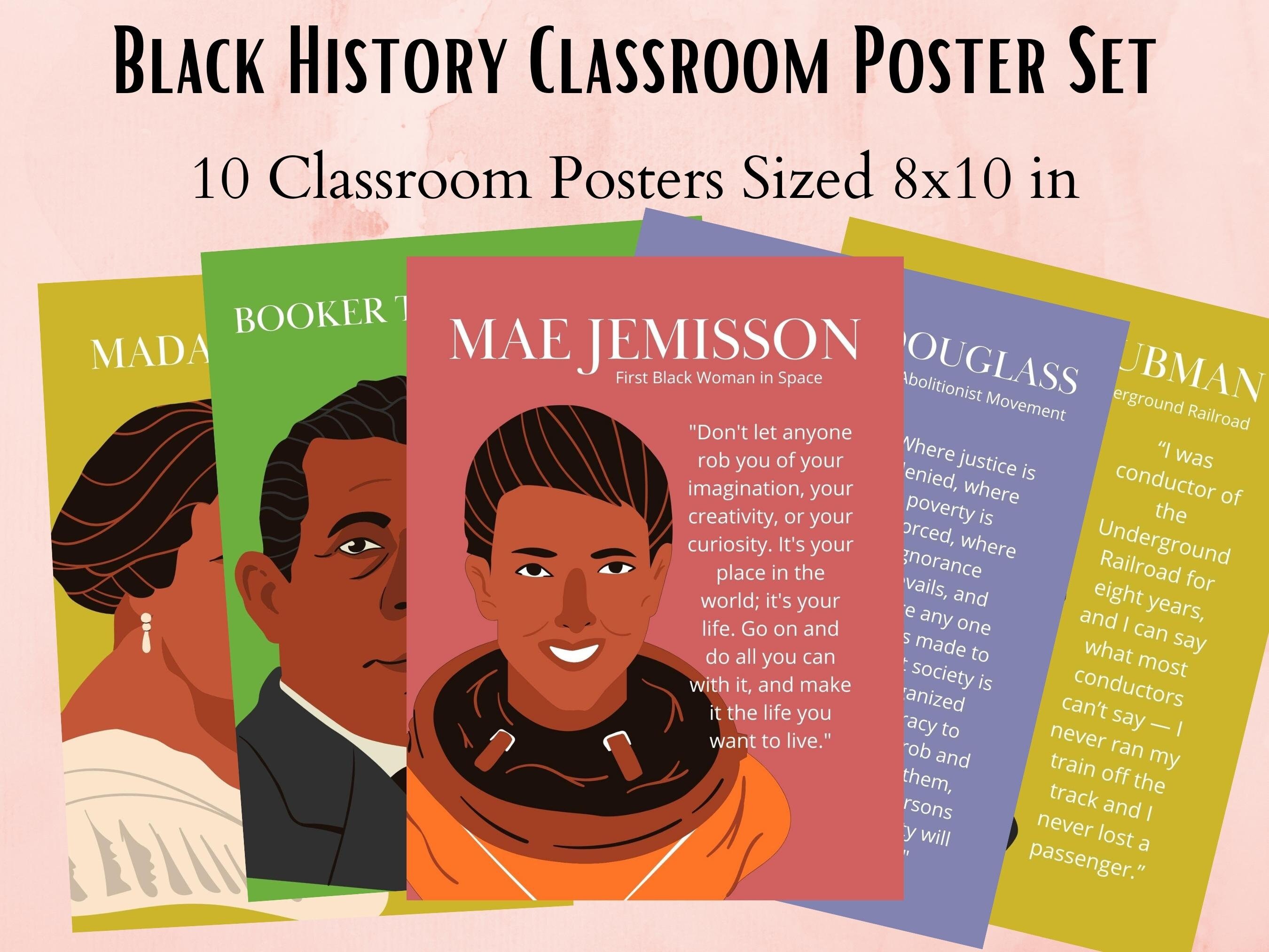 History Classroom Posters