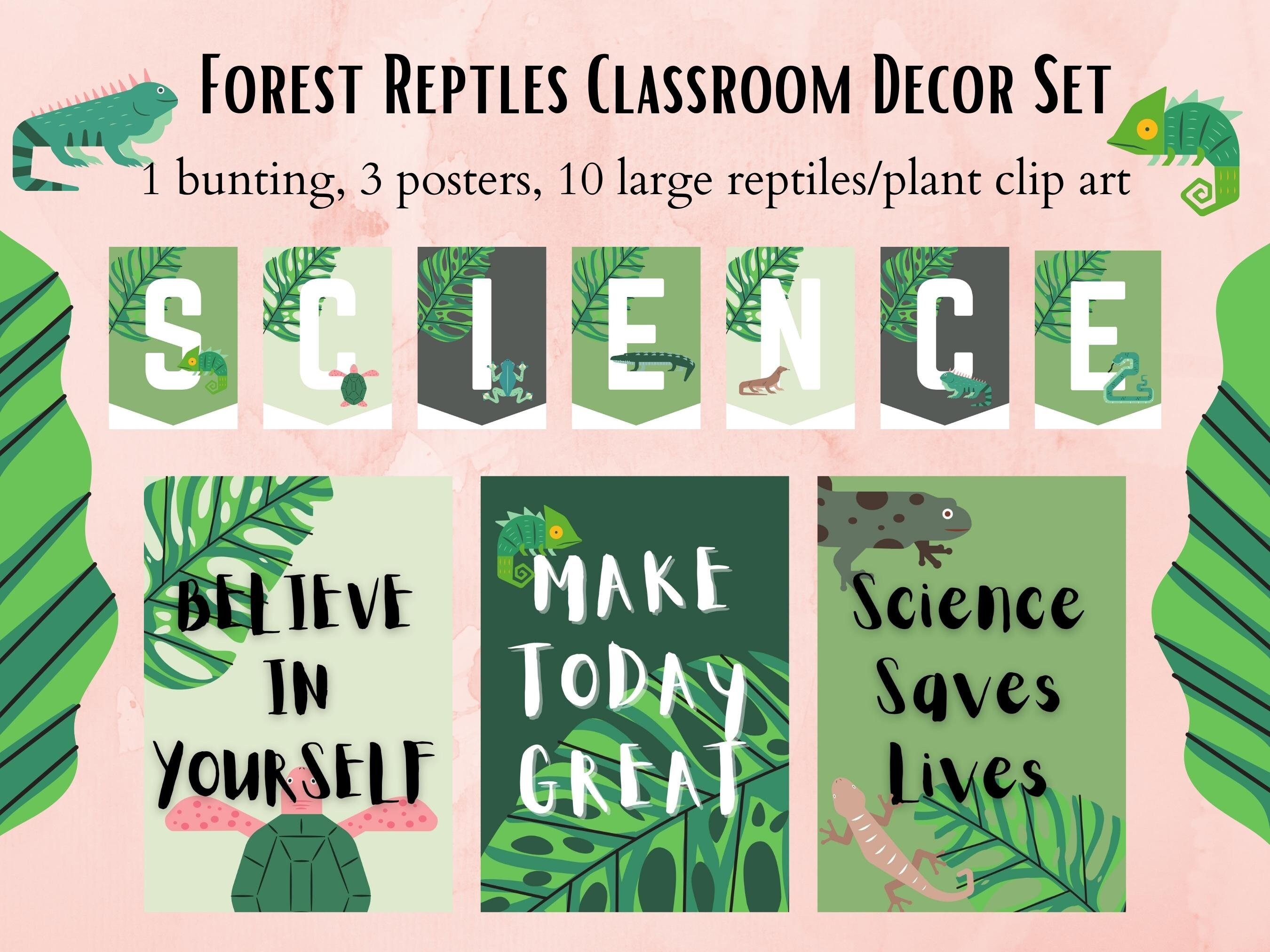 Forest Reptiles Science Classroom Decor Set, Green Classroom, Lizards ...