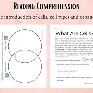 Cells Life Science Worksheet Packet for Middle School Science Class ...