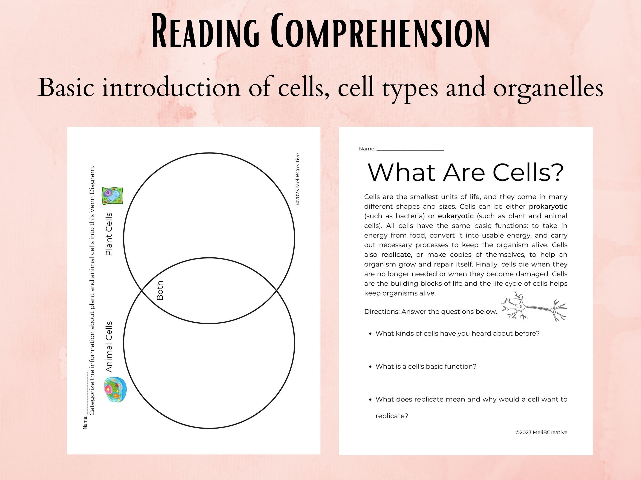 Cells Life Science Worksheet Packet for Middle School Science Class ...