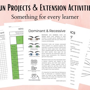 Heredity & Genetics Life Science Worksheet Packet for Middle School ...
