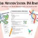Science Basics Classroom Poster Set in Purple, Science Classroom Décor ...