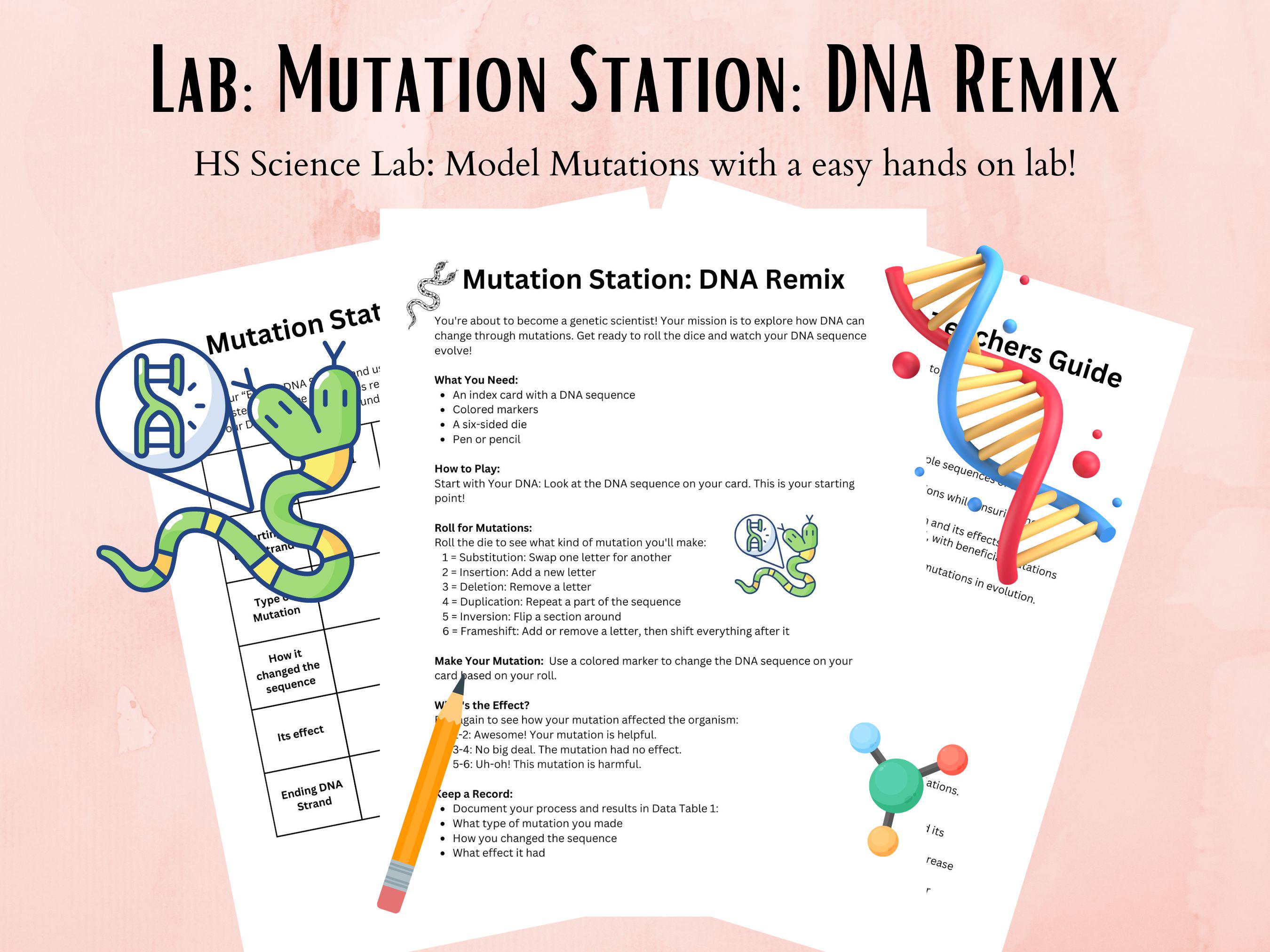 Mutation Station Lab: Evolution DNA Genetics Lab for High School ...